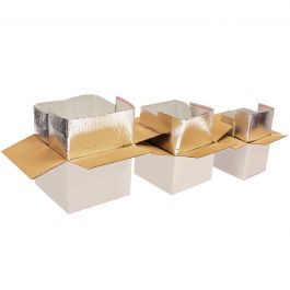 Insulated Delivery Boxes with reusable gel ice packs - chilled ...